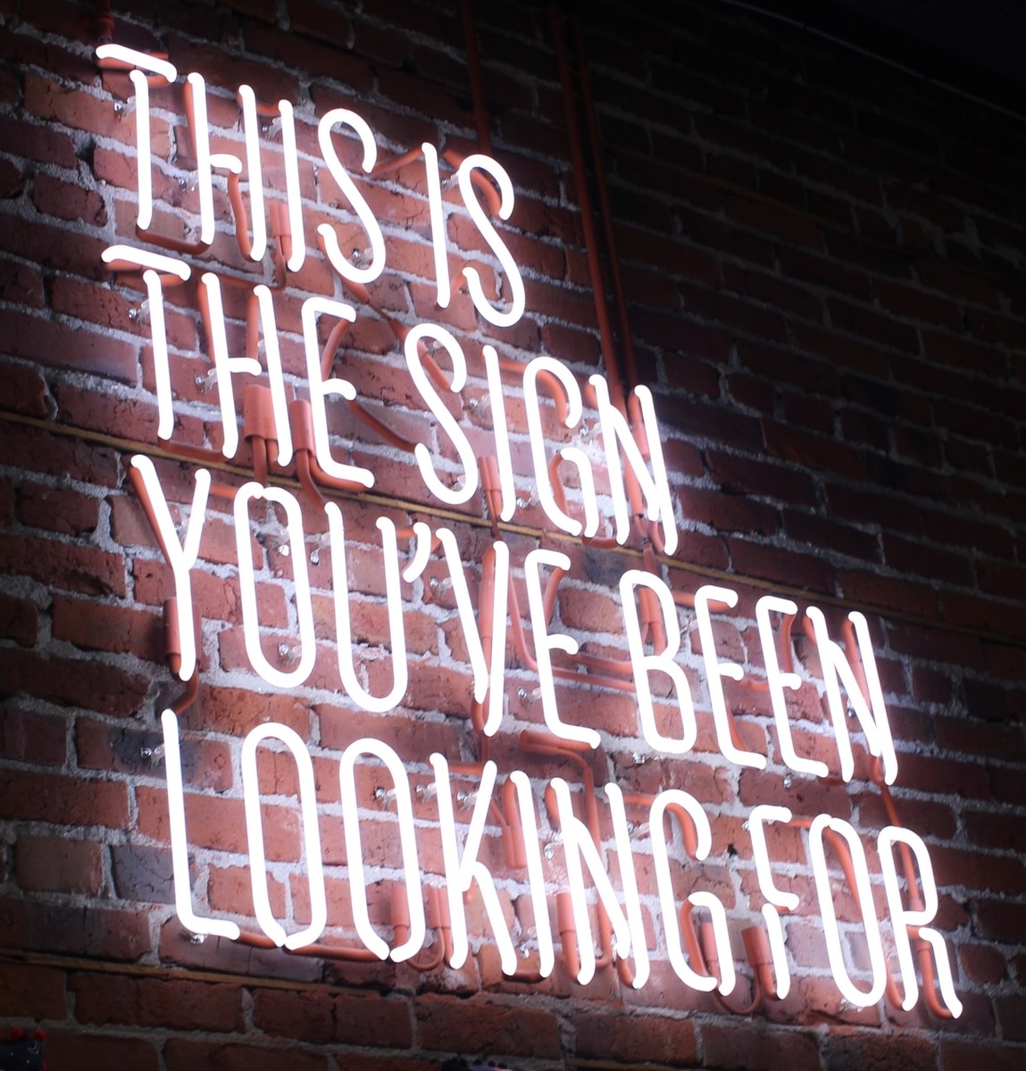 Can You Read the Sign? – WHOLEHEARTED